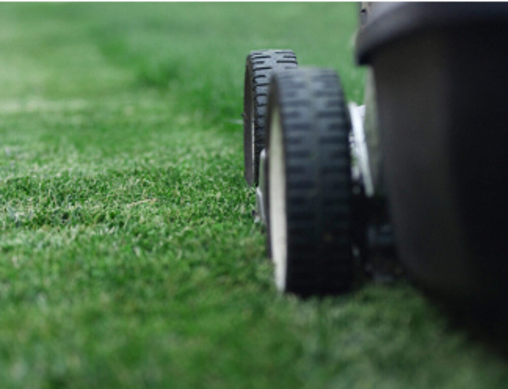 3 Tips for Irrigating Your Home’s Foundation - Ideal Landscape Services